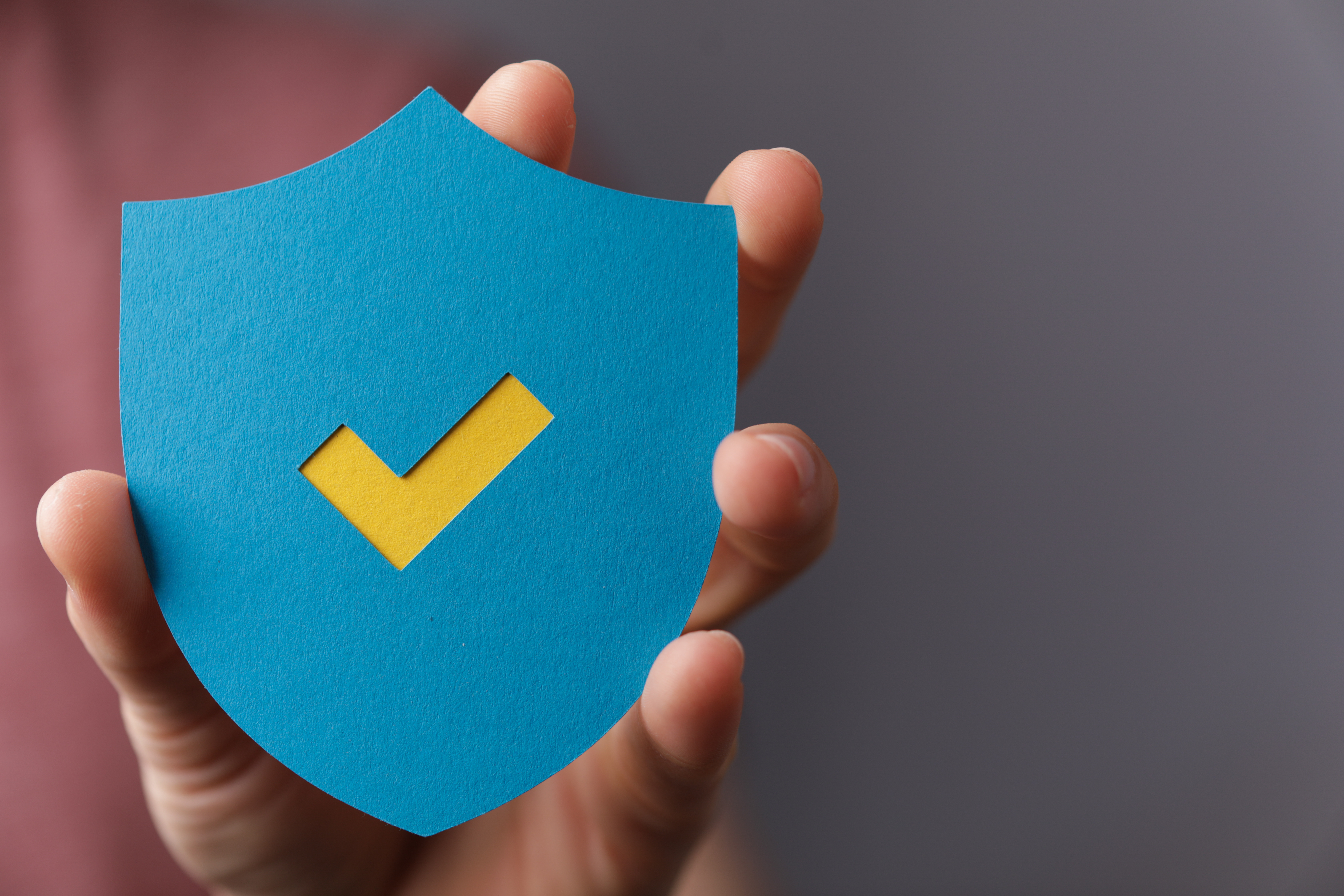 Data protection and Privacy - Lexing Network